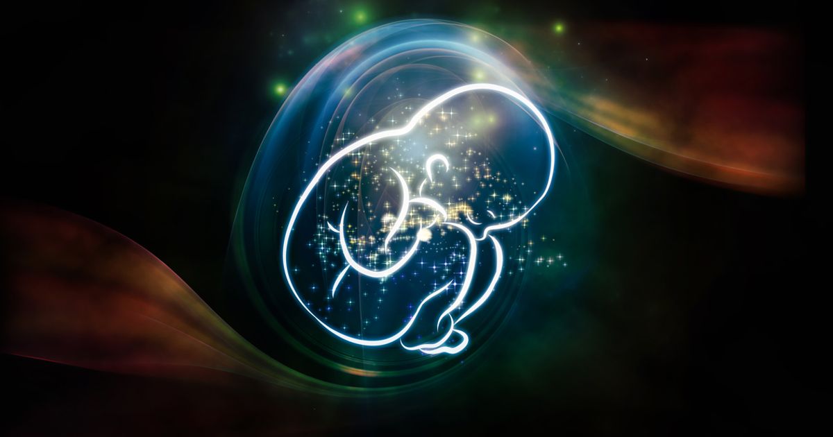 Qué Es La Placenta Accreta Causas Y Complicaciones Principales Ser